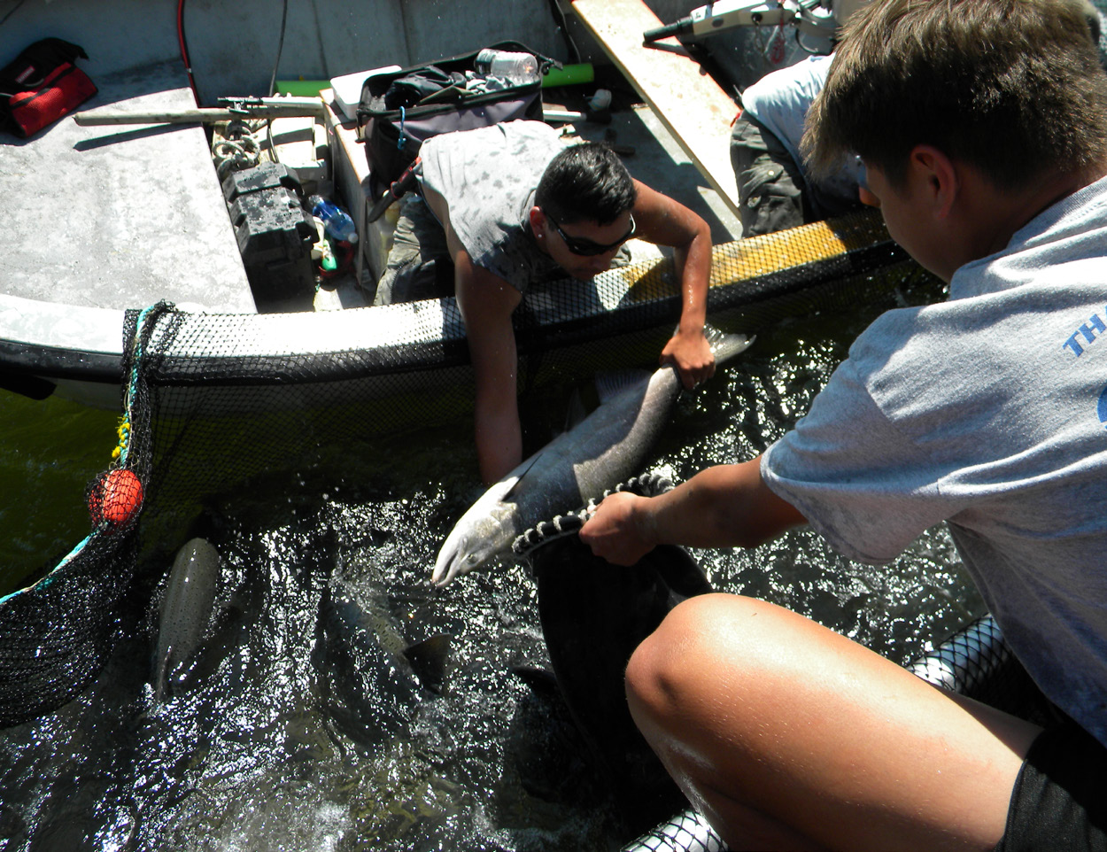 Cody Desautel: How the Confederated Tribes of the Colville Reservation ...