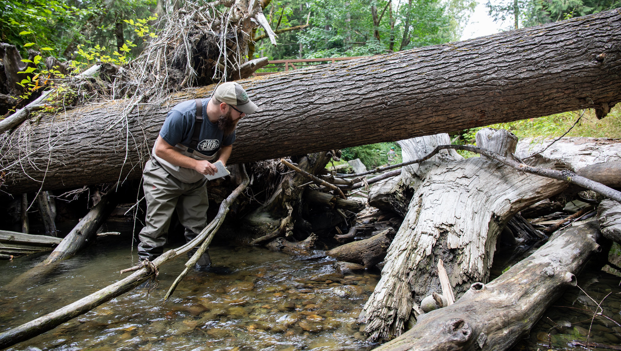 How the Relicensing of a Hydro Project Led to Improvements for Salmon ...