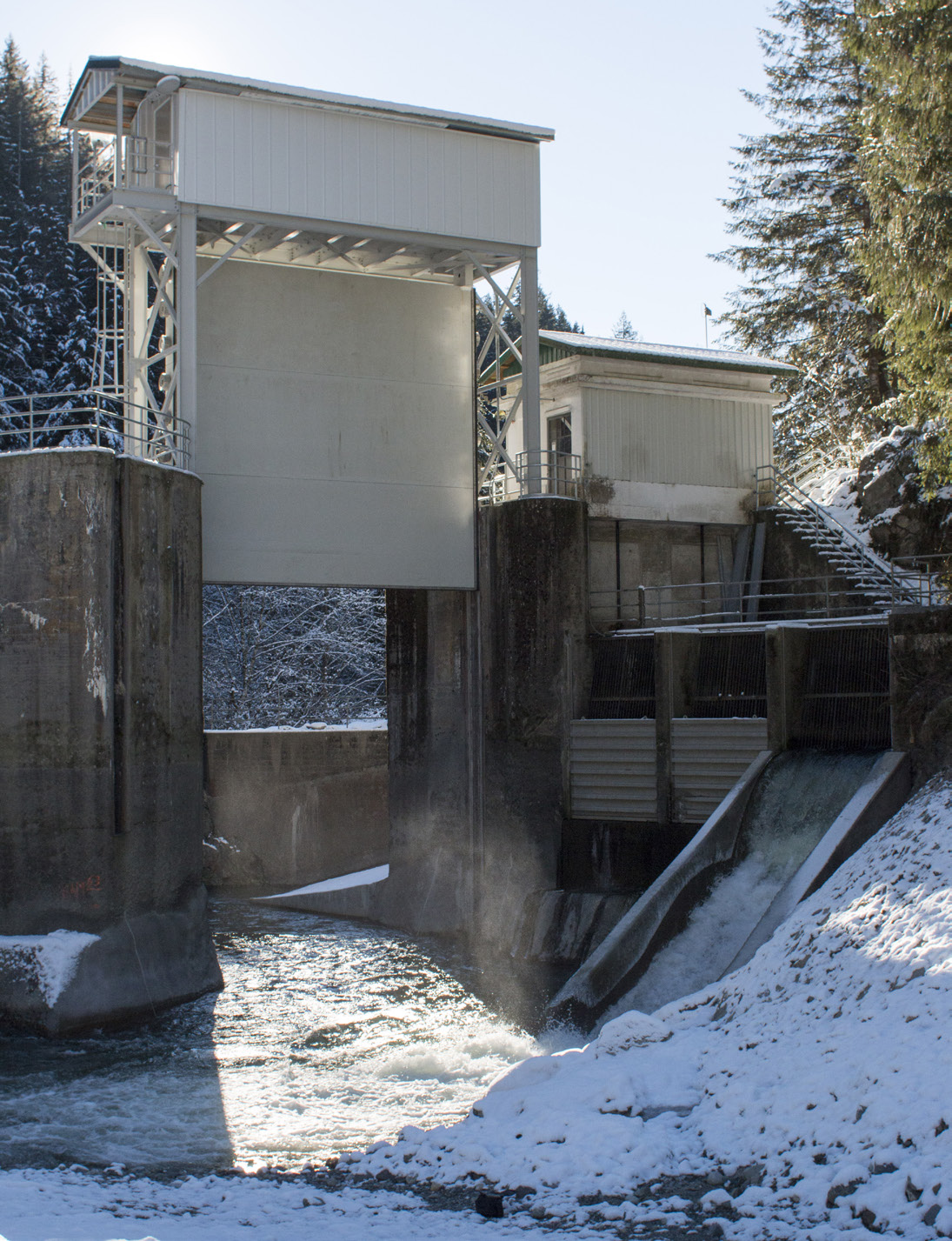 How the Relicensing of a Hydro Project Led to Improvements for Salmon ...